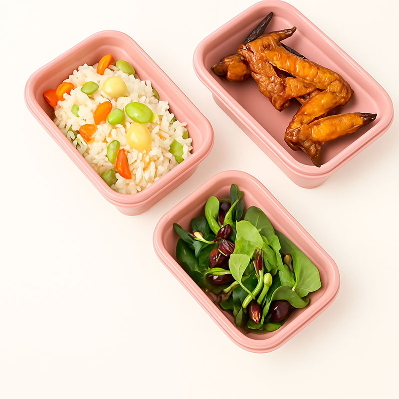 Compact Your Meals, Expand Your Life — BPA-Free Silicone Foldable Lunch ...