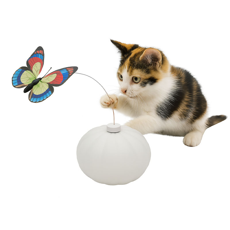 Halloween Pumpkin Ball Interactive Silicone Cat Toy with Feather ...