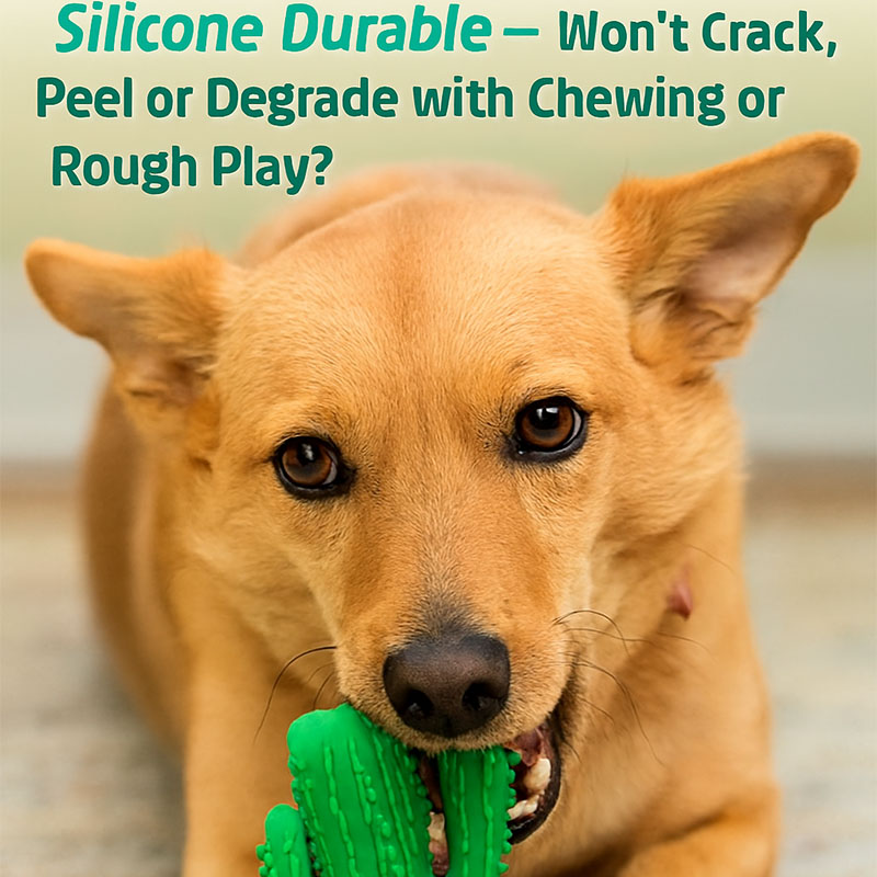Is the Silicone Durable — Won’t Crack, Peel, or Degrade with Chewing or ...